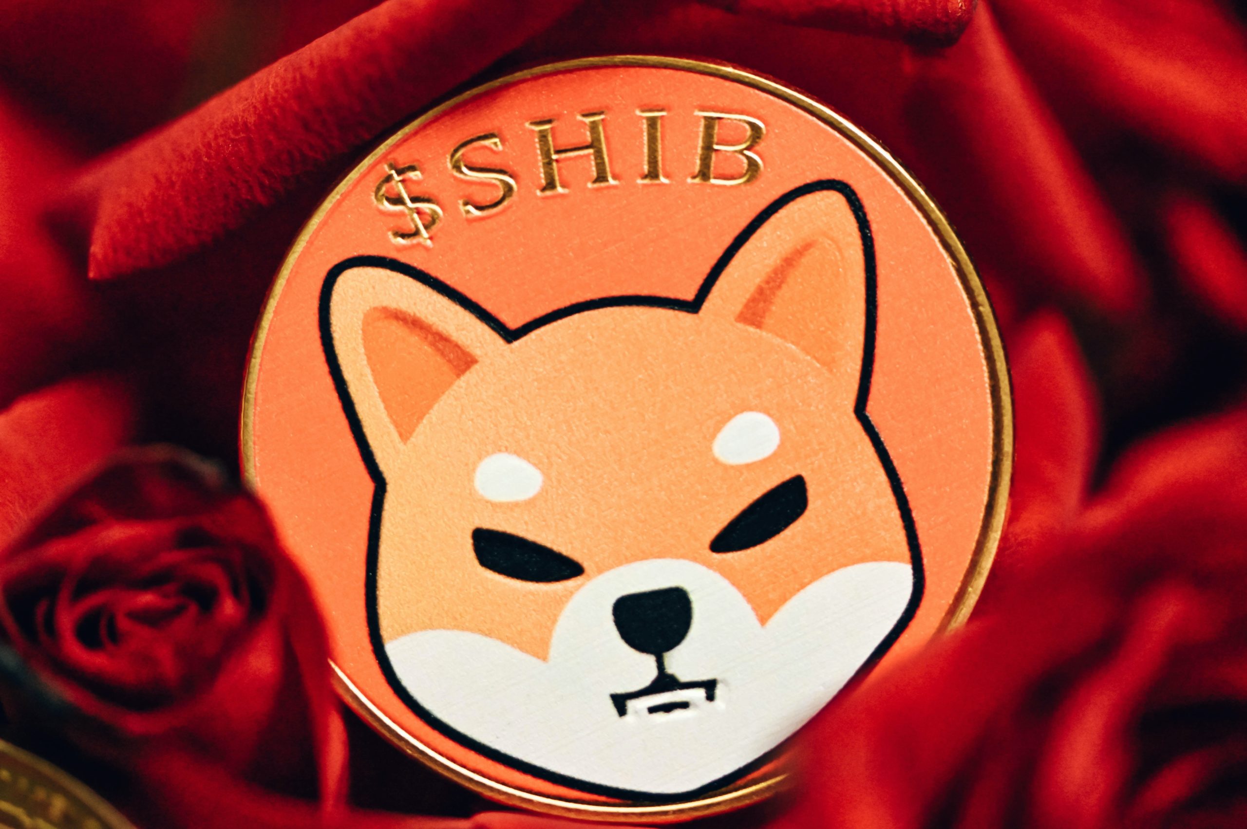 The Rise of the Shiba Token To The Metaverse - TradeChaser